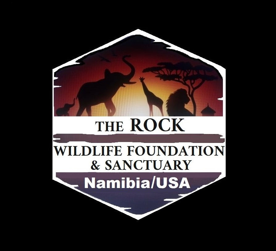 About Us – Rock Wildlife Foundation